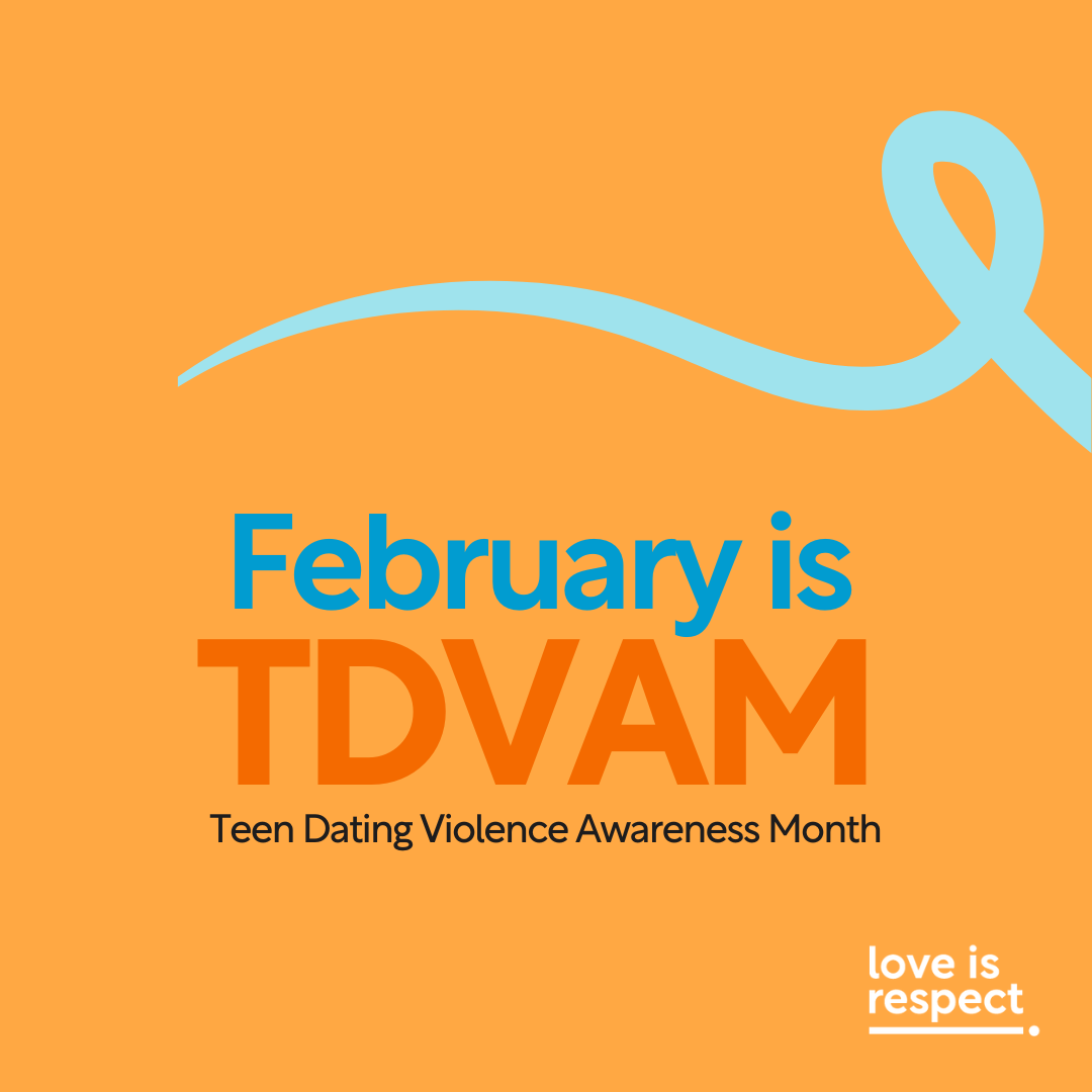 Domestic Violence Awareness Project | Domestic Violence Awareness Project